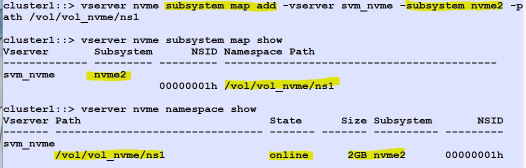 Remote Infrastructure Management Netapp Ontap 9 7 Nvme Configuration