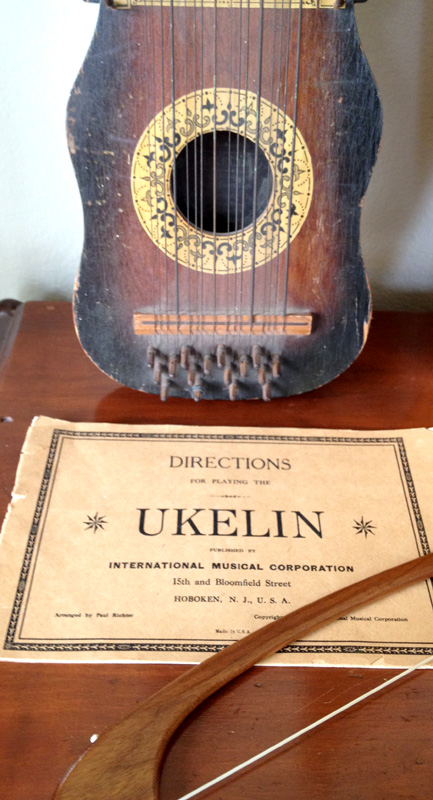 The Copycat Collector: COLLECTION #107: Unusual Stringed Musical ...