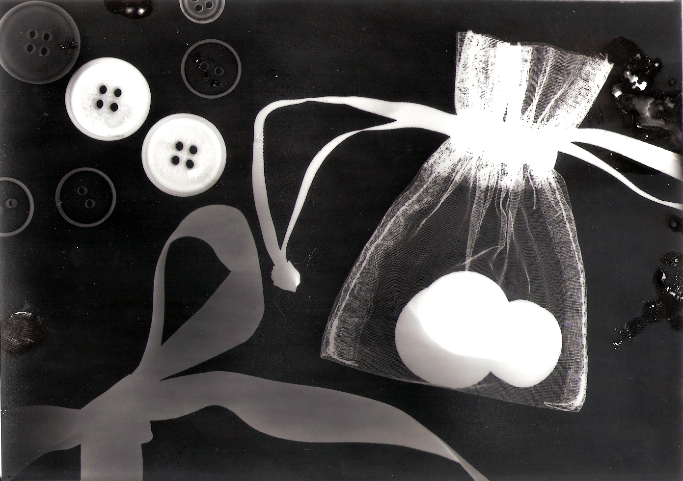 Plasticlass: Fotogramas