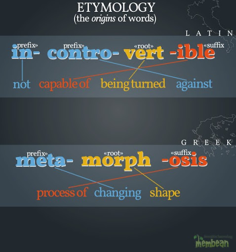 What Is Etymology Meaning In Hindi What Is Etymology In English what-is-etymology-meaning-in-hindi-what-is-etymology-in-english