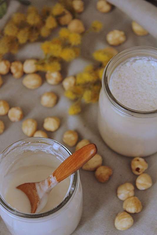Yogurt natural casero con avellanas