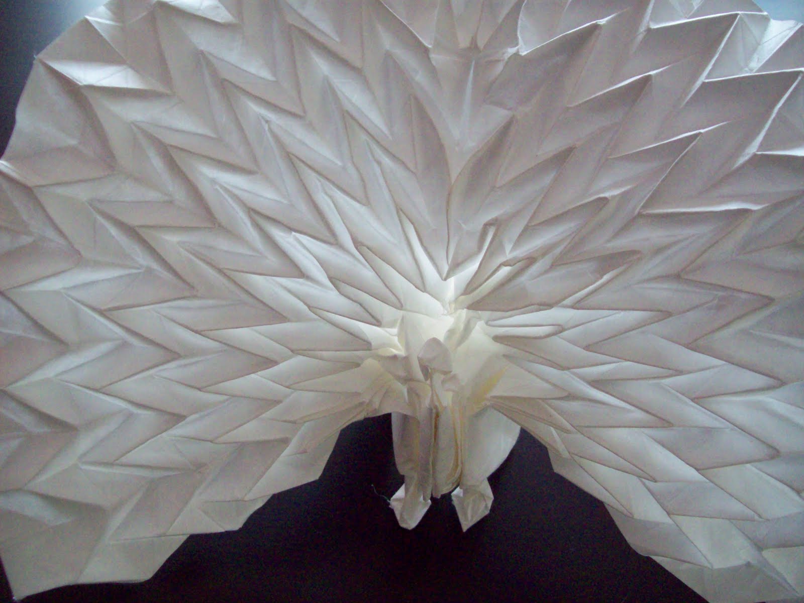 The Midnight Carver: A Successful Origami Peacock!