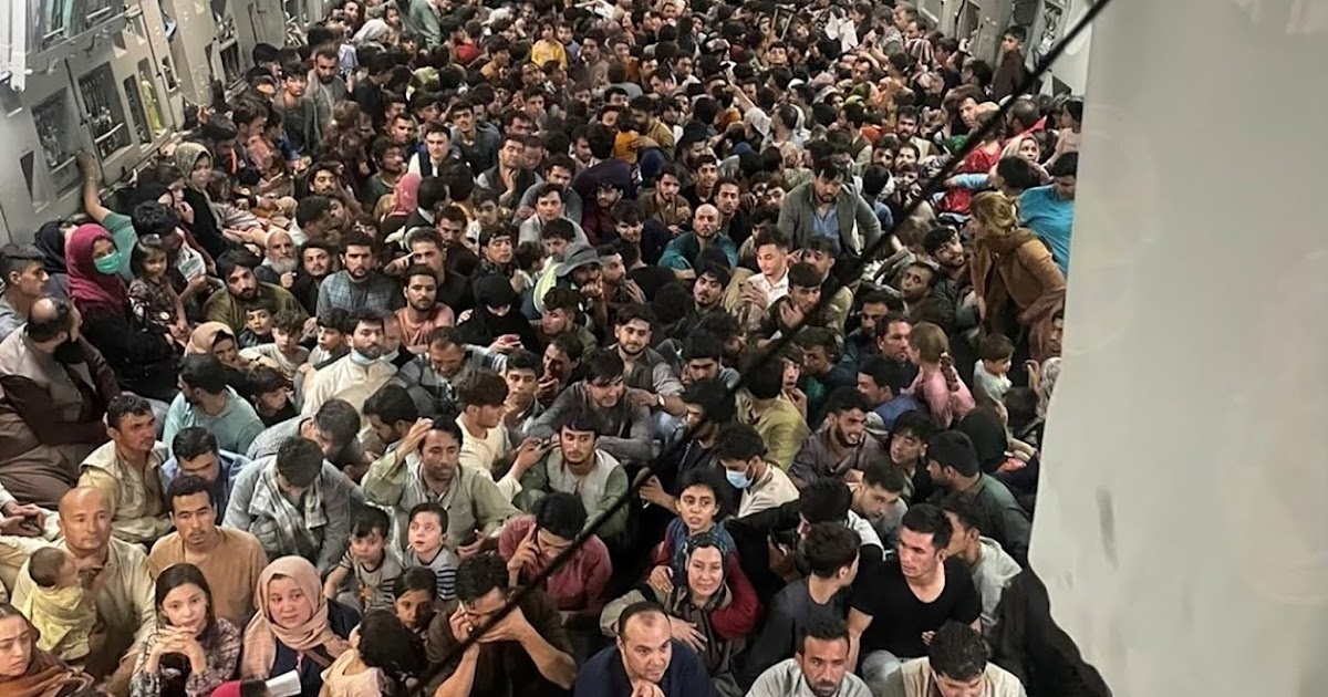 A Balkan Man in the Americas