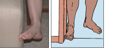 Educación Física Nuestra Señora del Carmen