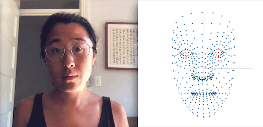 Iris landmark tracking in the browser with MediaPipe and TensorFlow.js ...