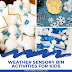 Weather Sensory Bin Activities for Kids | And Next Comes L - Hyperlexia ...