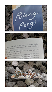 Resensi Novel Pulang-Pergi (Tere Liye)