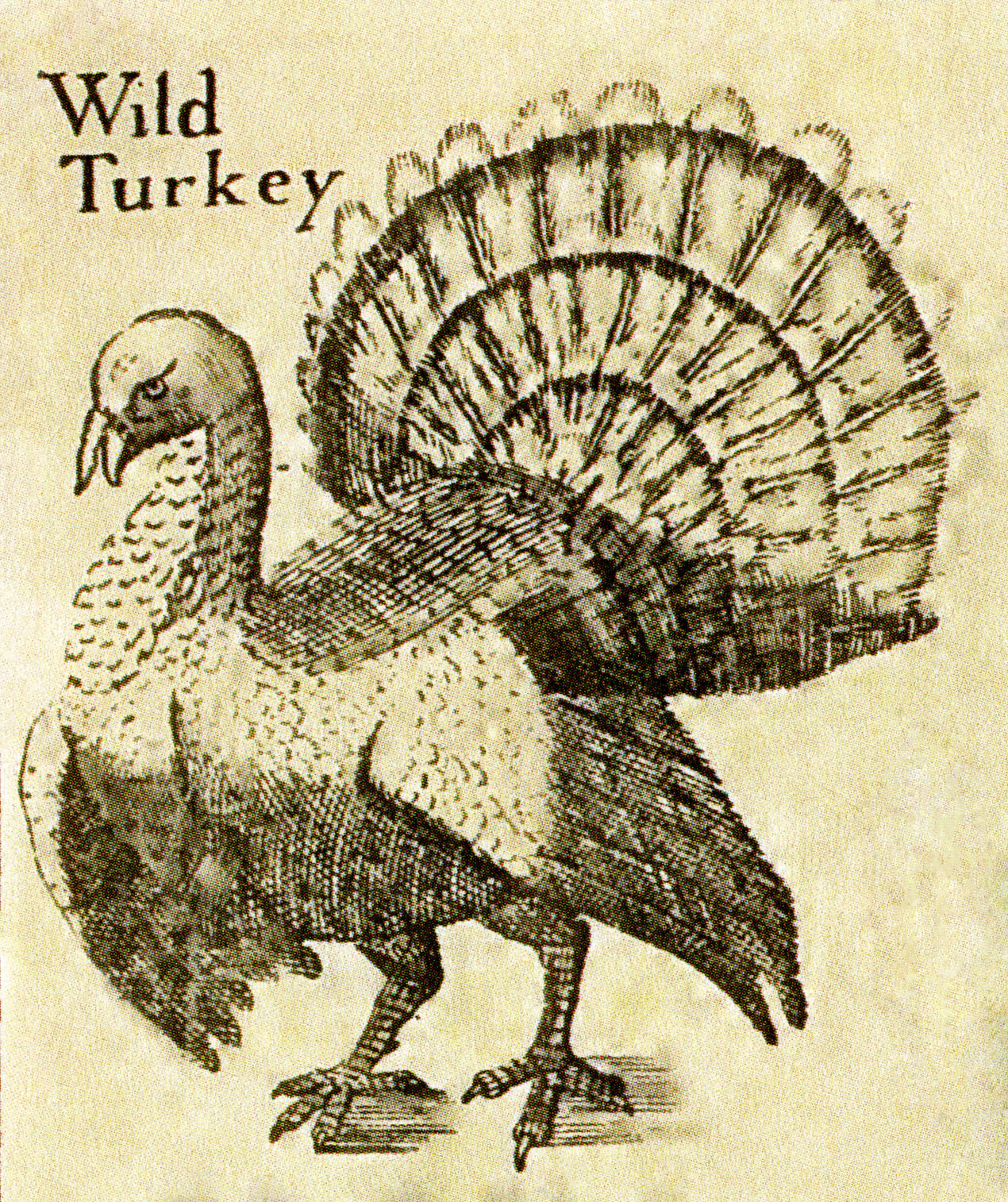 The Kellenberger Room: 2020