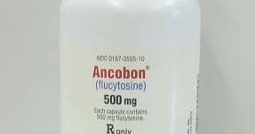 دليل الأدوية العالمي: Ancobon دواء أنكوبون