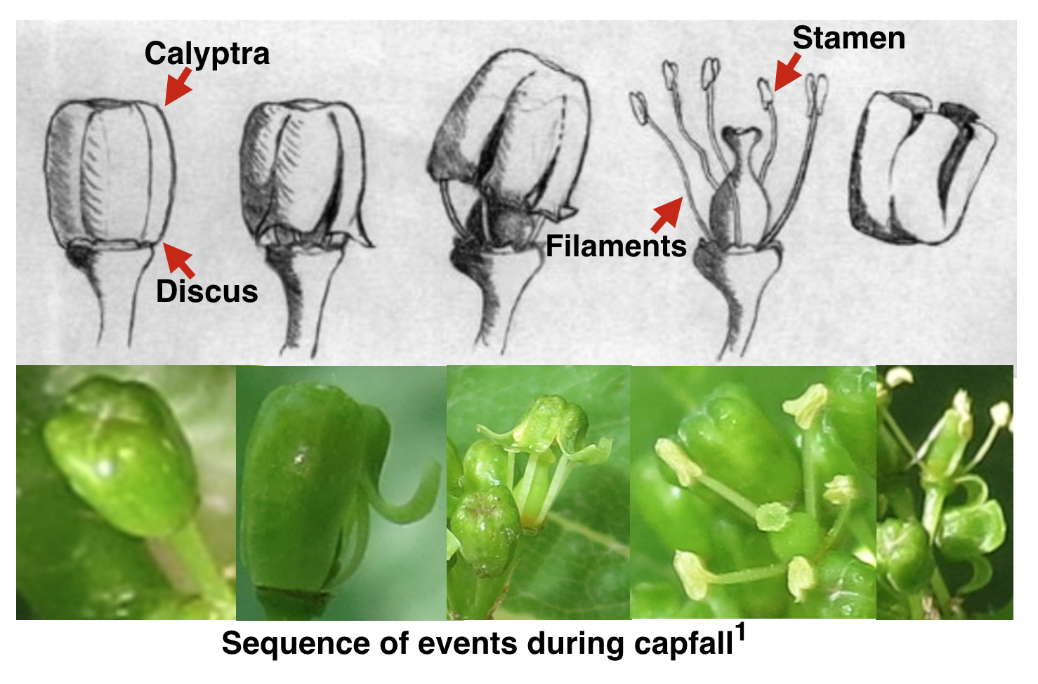 EnoViti: 07/01/2018 - 08/01/2018