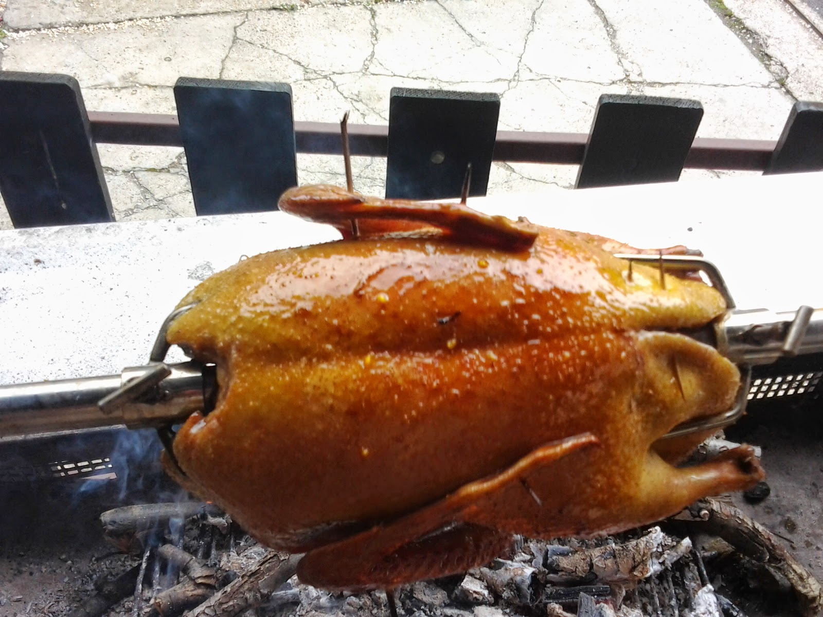 Pliva patka preko Save... ispeći patku na ražnju