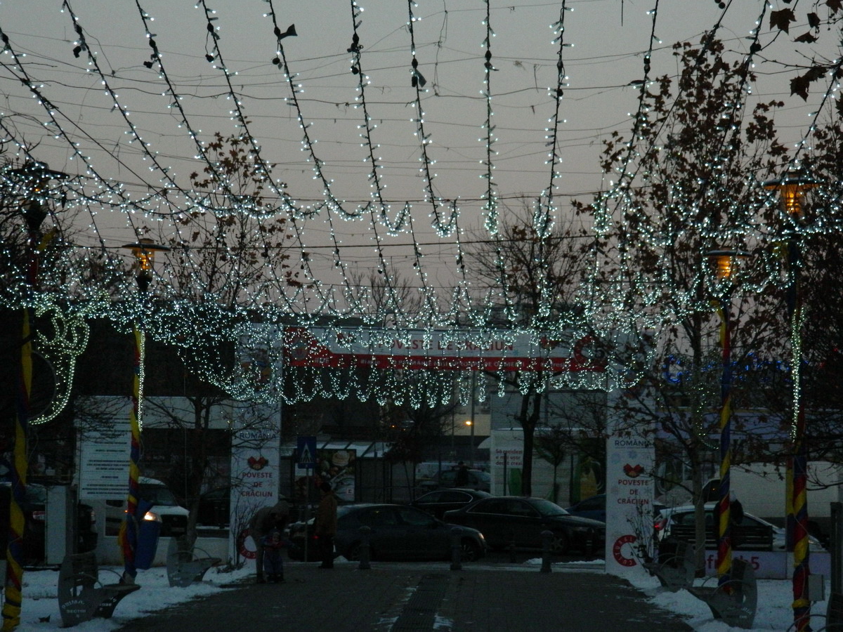 LA MULTI ANI, ROMANIA!: Inserare in Parcul Sebastian