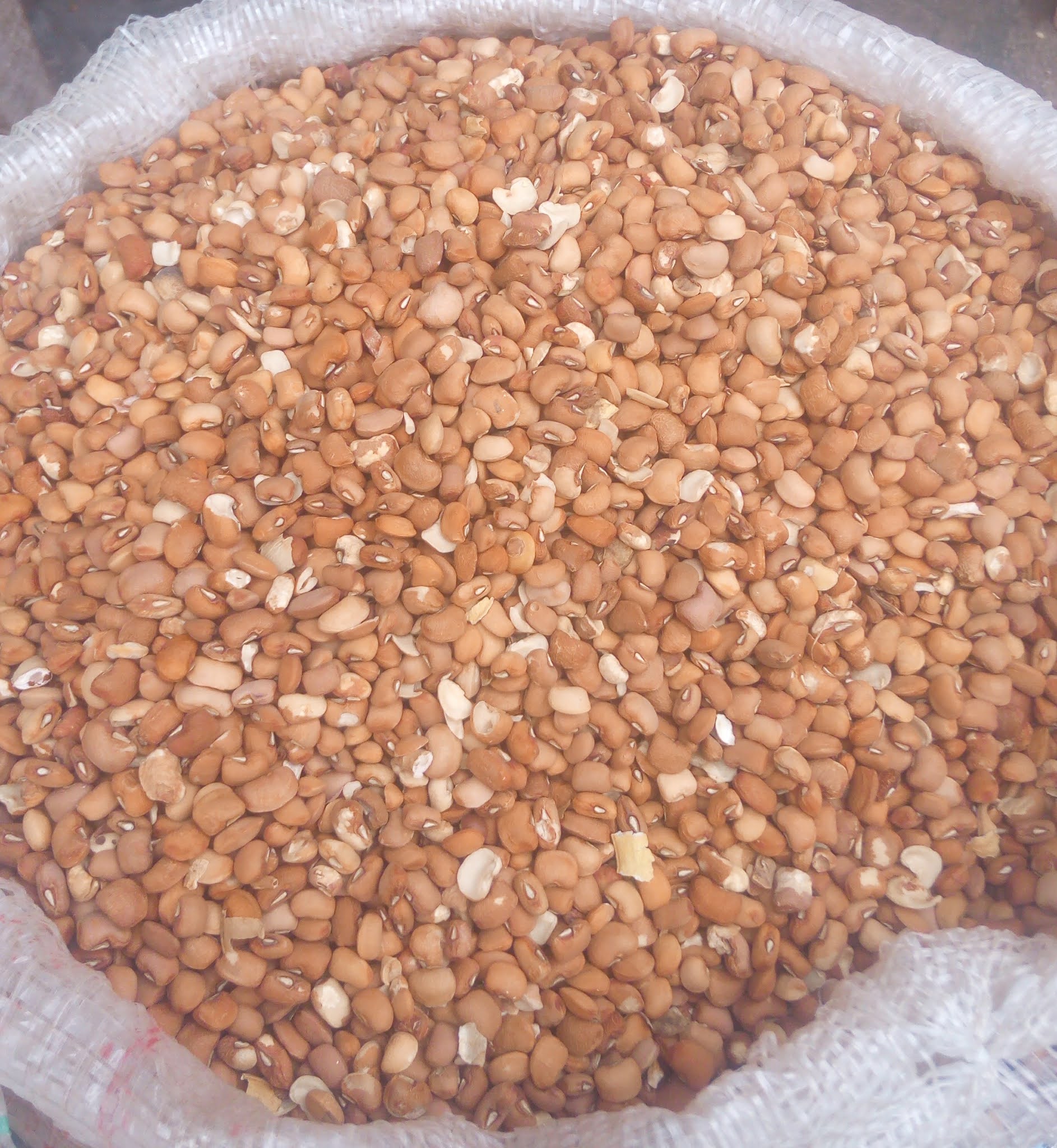 Basics things to know about different types of Beans in Nigeria