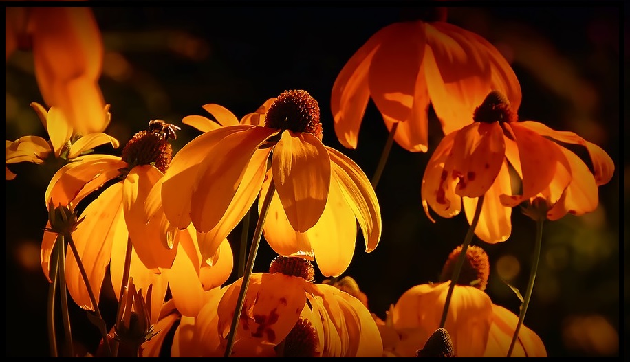 What Is Rukhsah? | Understanding of Rukhsah - Yourdakwah