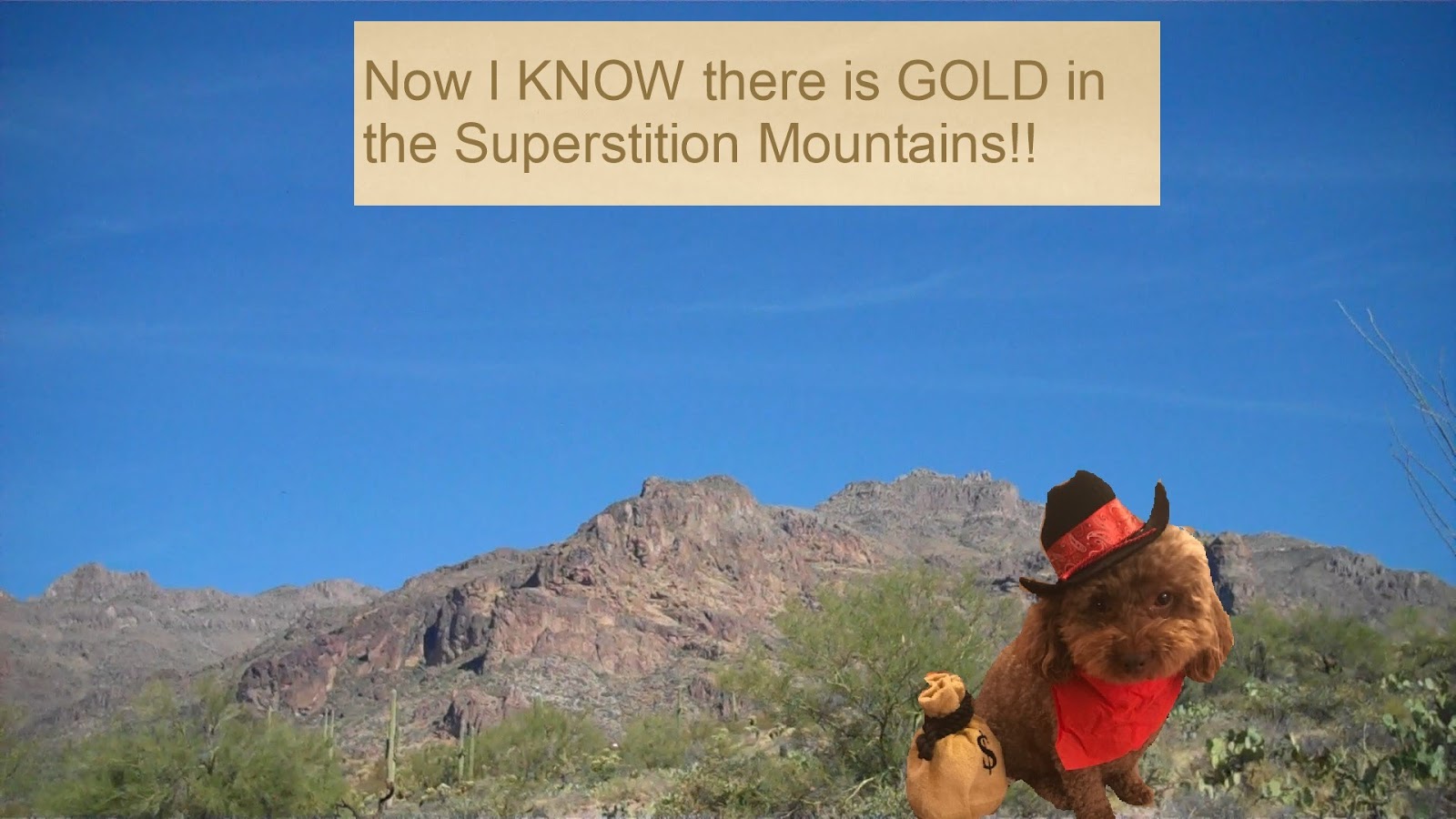 The Great American History Blog: The Strange Case of Adolph Ruth and ...