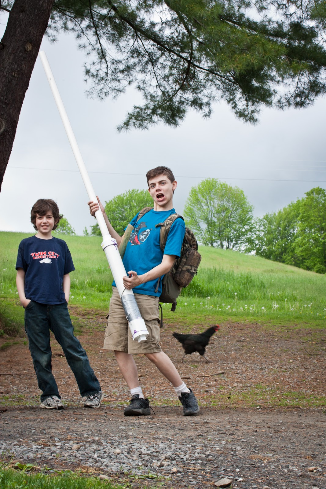 In The Sunny Spot: Irises and potato guns