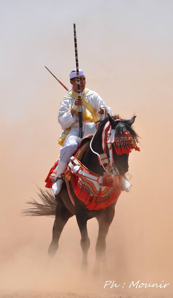 what'is Tbourida ? definition an great pictures from Morocco | Morocco ...