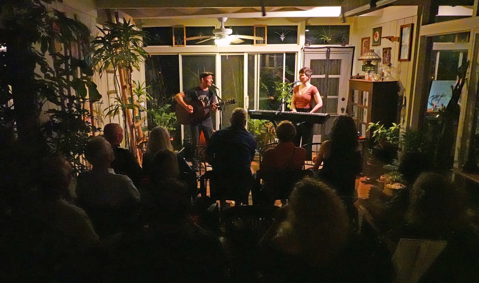 Joe's Retirement Blog: House Concert - Listening Room Network (LRN), St ...