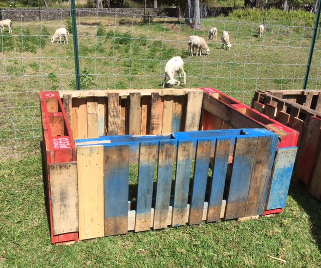 Homesteading in Hawaii: Pallet Boxes for Potatoes