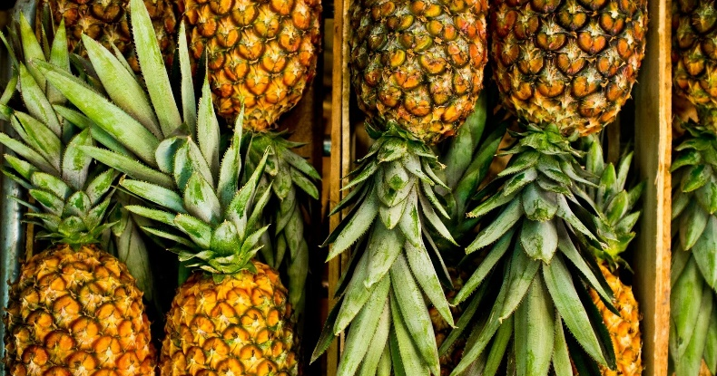 Colorful Pinya Festival