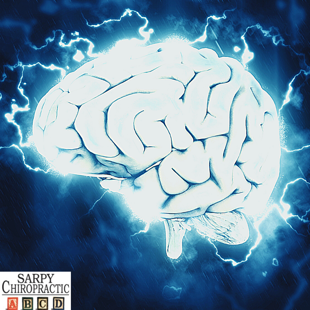 12 Ways To Fix A Leaky Brain 12 Ways To Fix A Leaky Brain