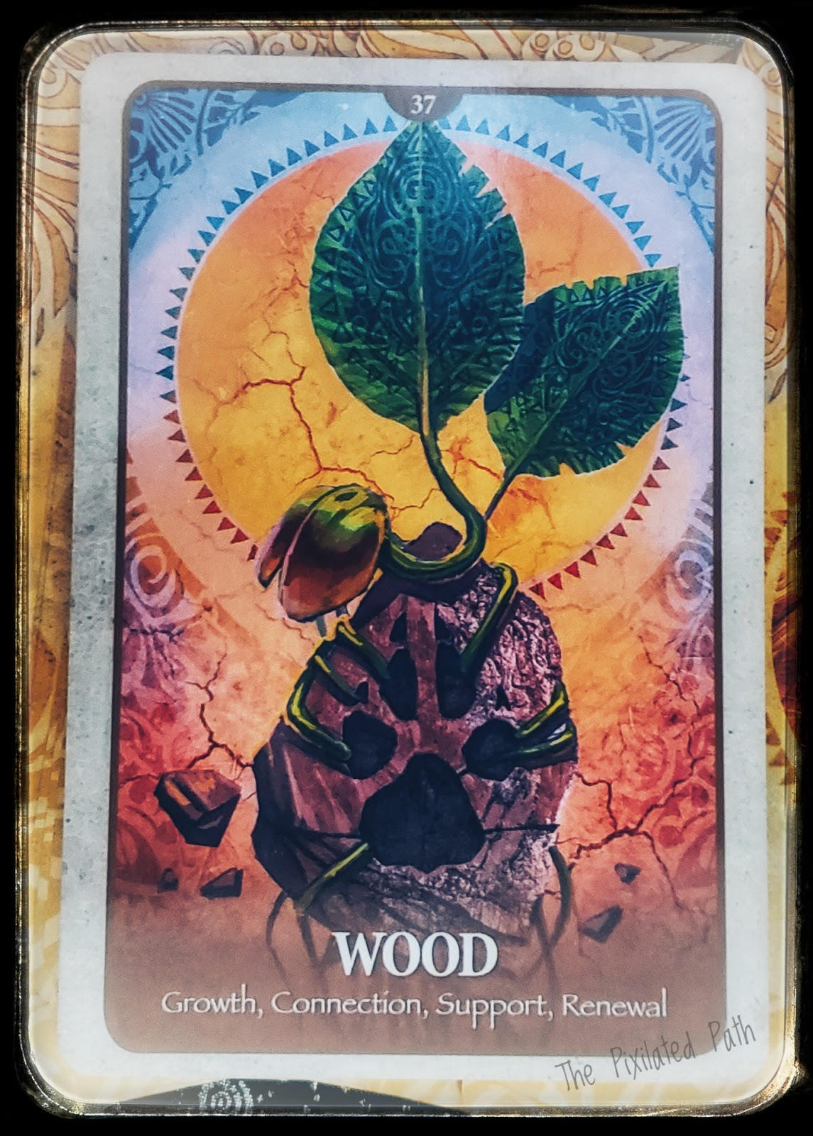 Guidance for the Coming Week from the Secret Language of Animals Oracle ...