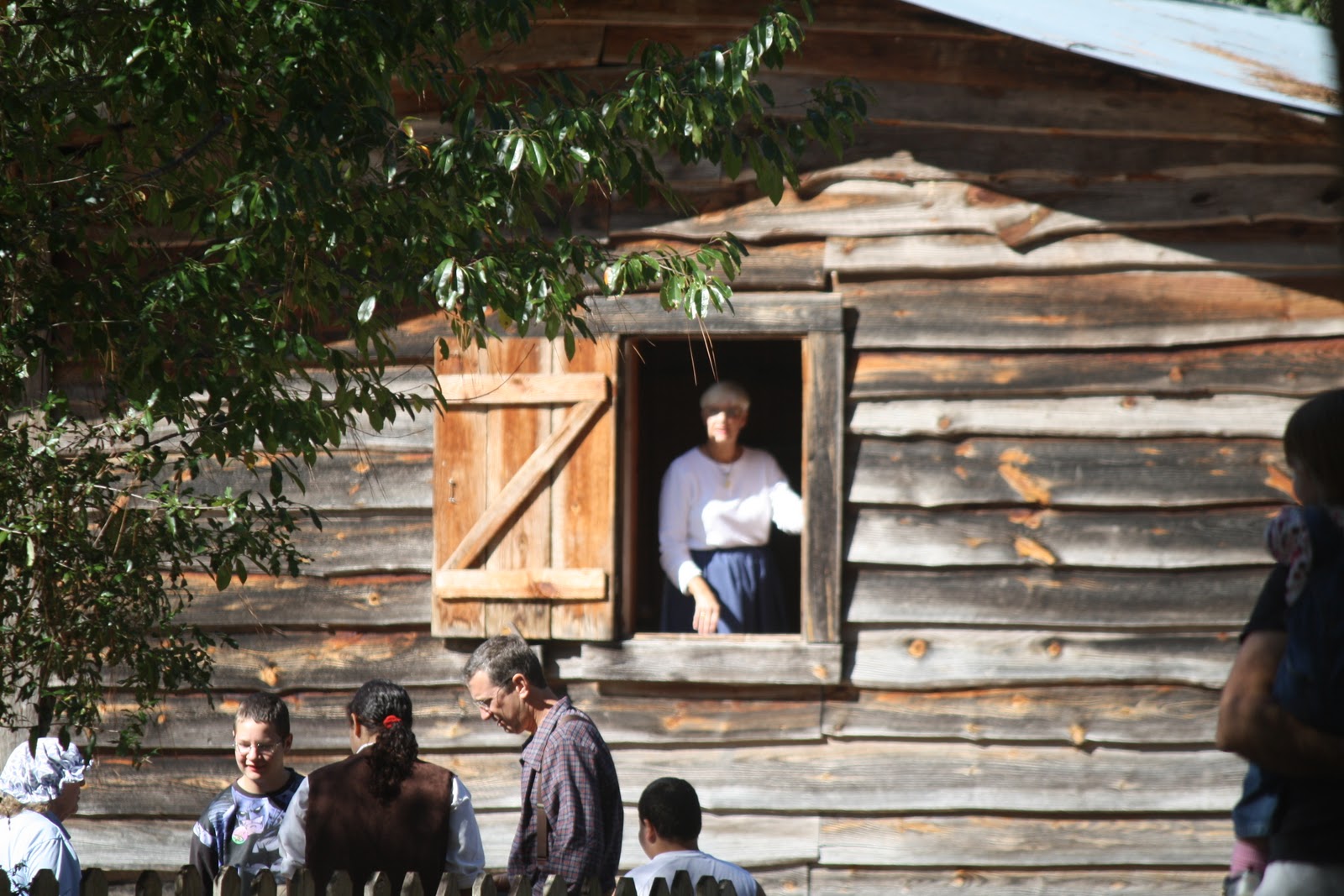 The Blue Whale and Other Travel Tales: Ocali Days at Silver River ...