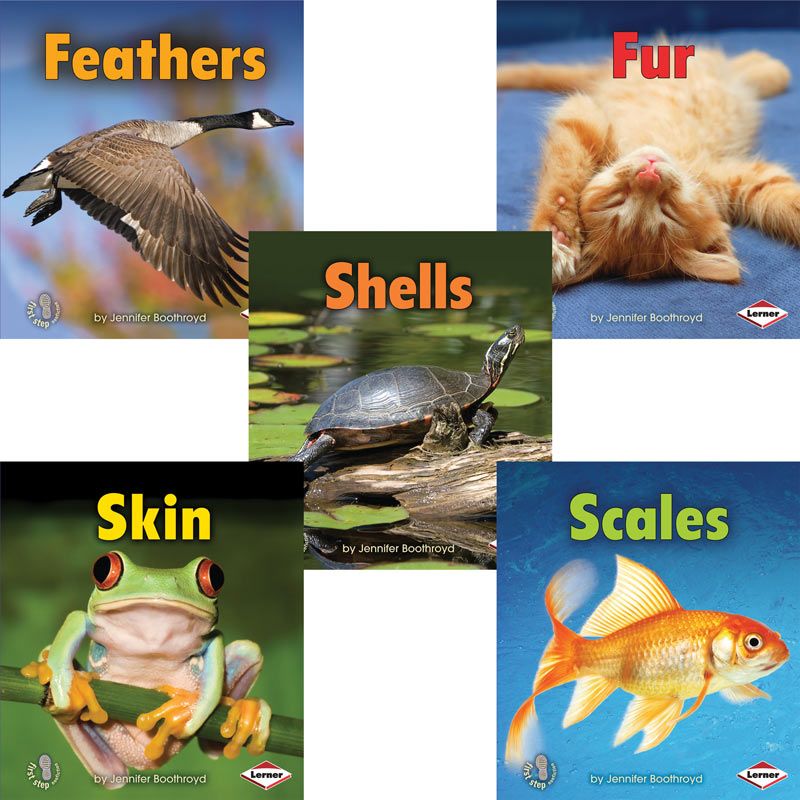 ANIMAL BODIES ~ MY ENGLISH AND SCIENCE