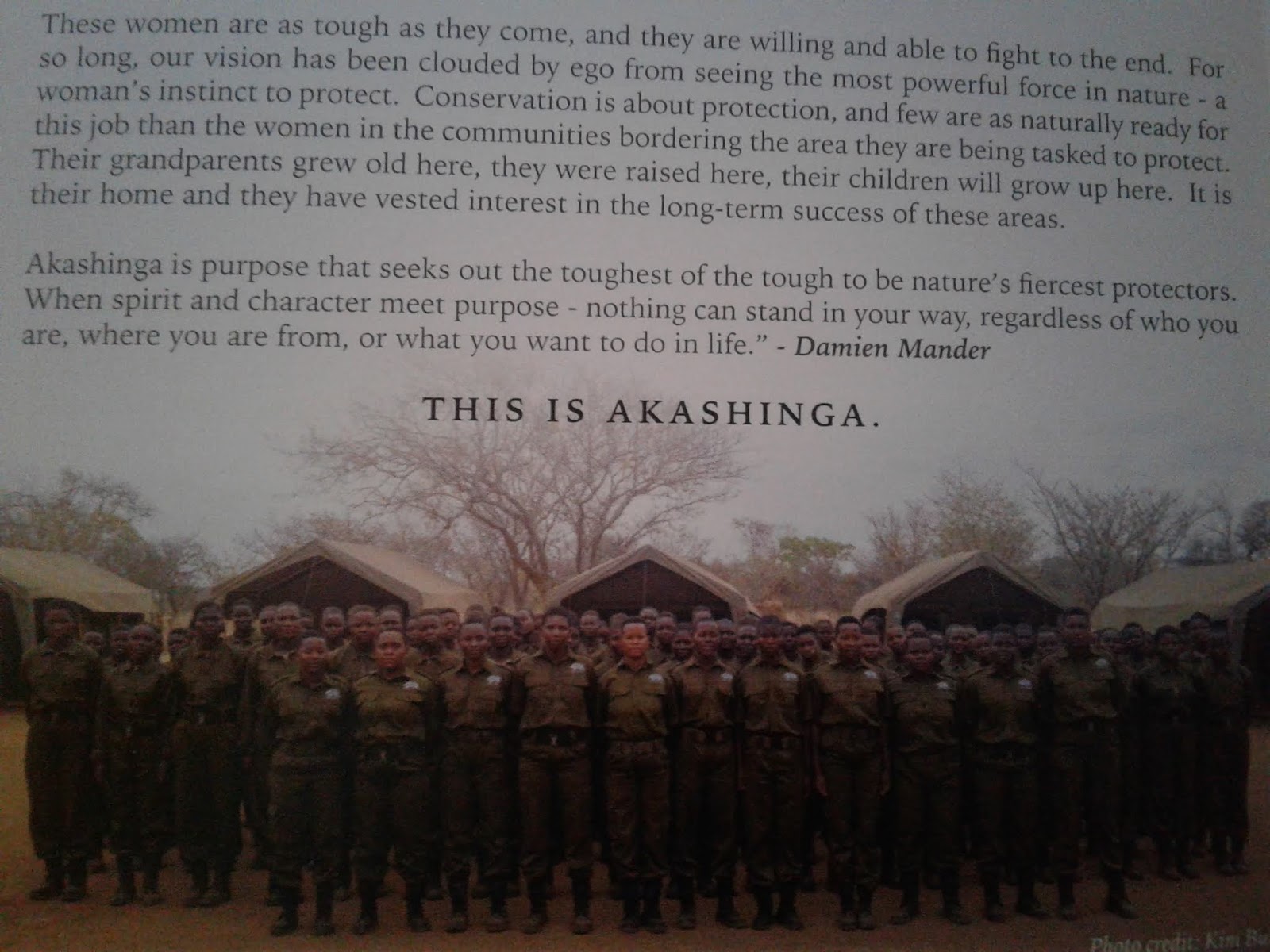 Stuff to do with your kids in Kitchener Waterloo: Centre in the Square ...