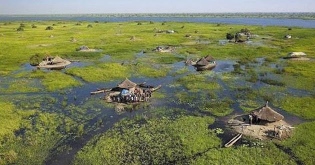 Pengertian Rawa dan Macam-macam Jenis Rawa | Berpendidikan