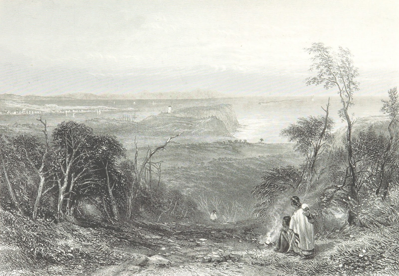 Near Newcastle, On the Hunter, New South Wales - c. 1870's Engraving of ...