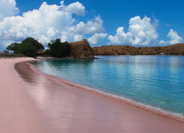 Traveler Guide: Pink Beach Scenery