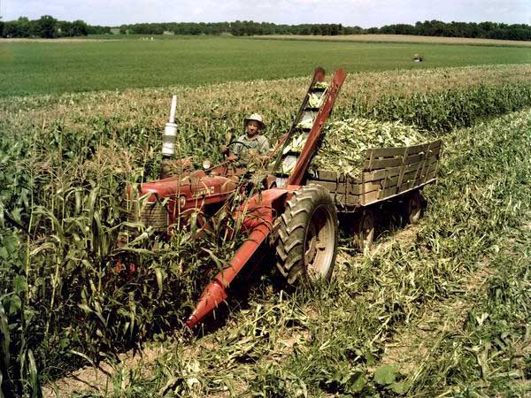 SleuthSayers: The Digital Detective, Banking part 3