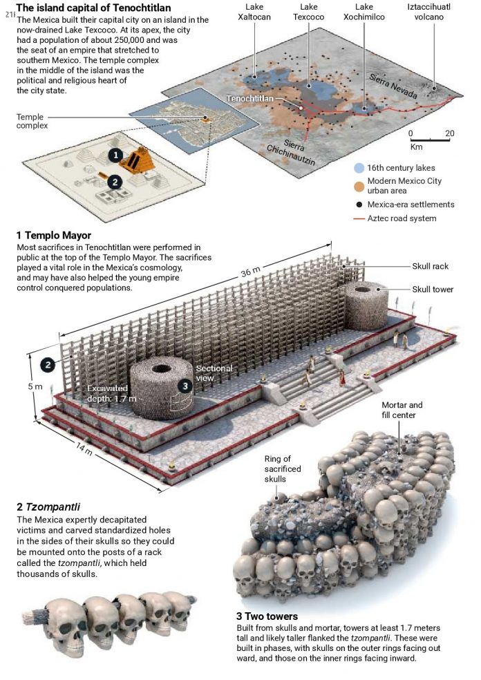 Feeding the gods: human sacrifice in the Aztec city of Tenochtitlan