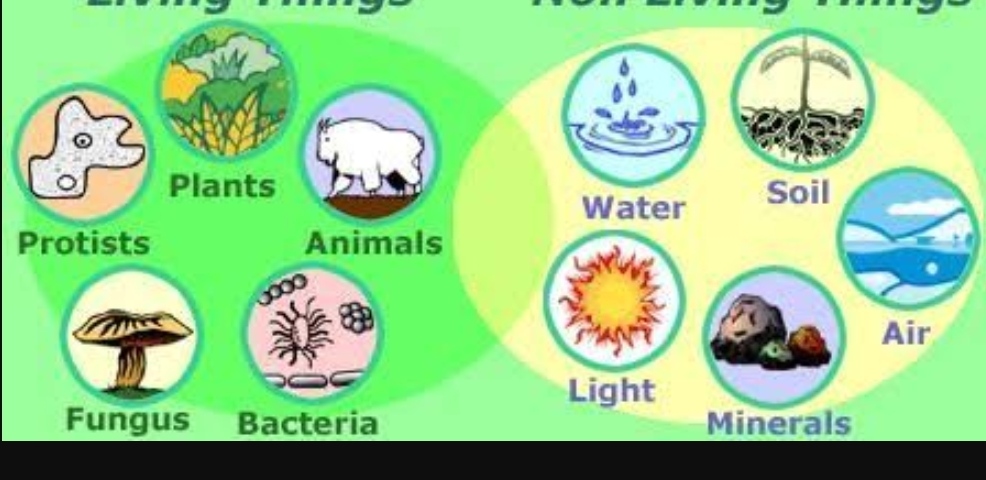 Pengertian, Faktor-faktor dan Perbedaan Biotik dan Abiotik
