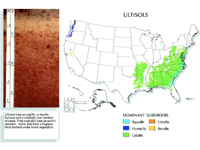Owen's Environmental Science Blog: The 12 Soil Orders of the World