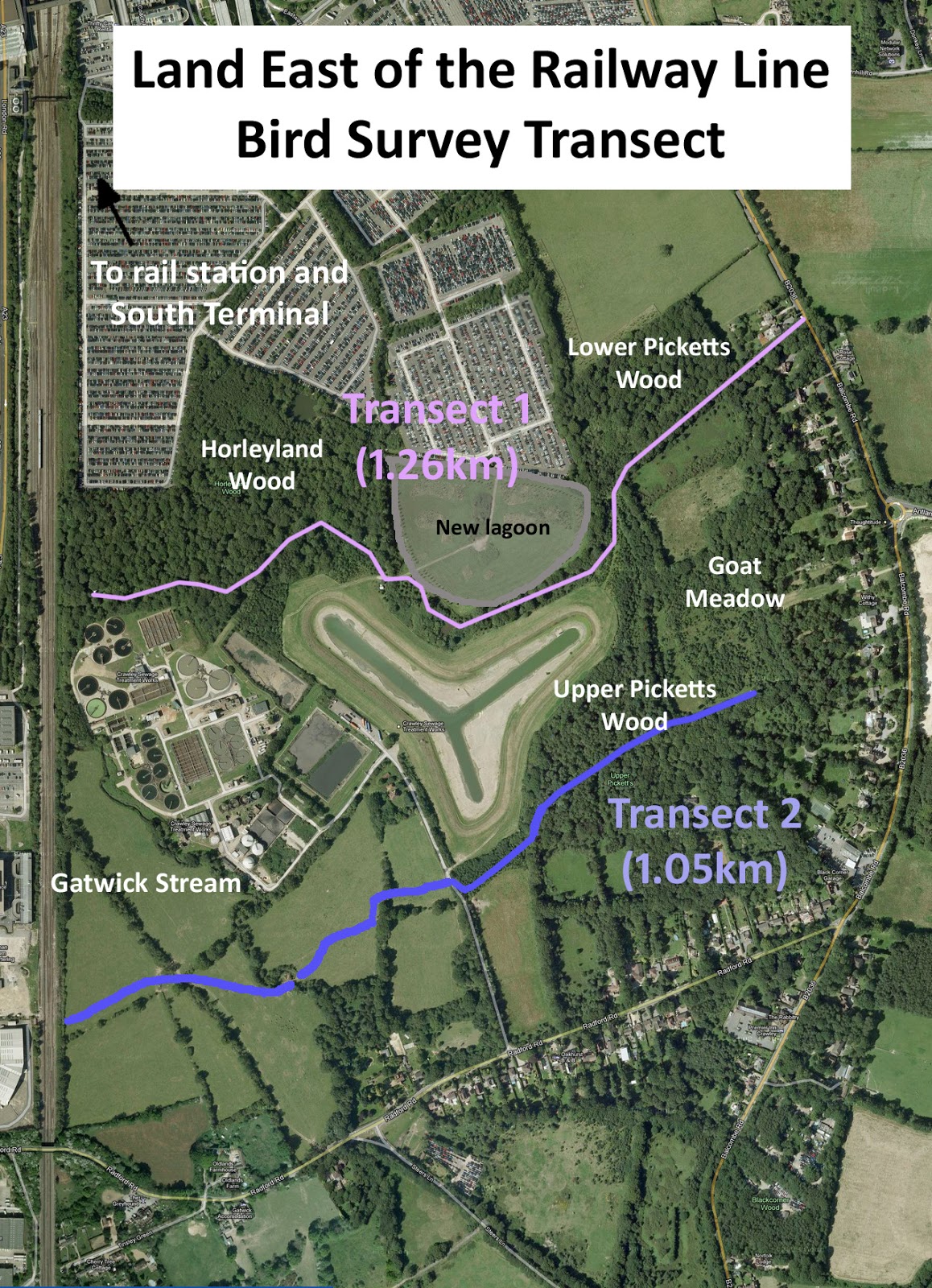 Biodiversity Gatwick: Spring Breeding Bird Survey - April 2013