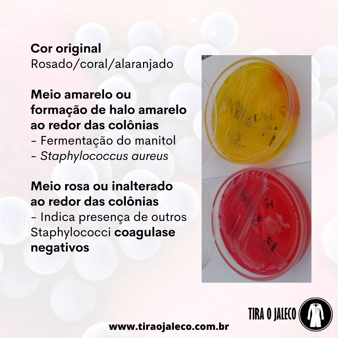 O Manitol 20 Hexanehexol Calculador De 500ml O Manitol