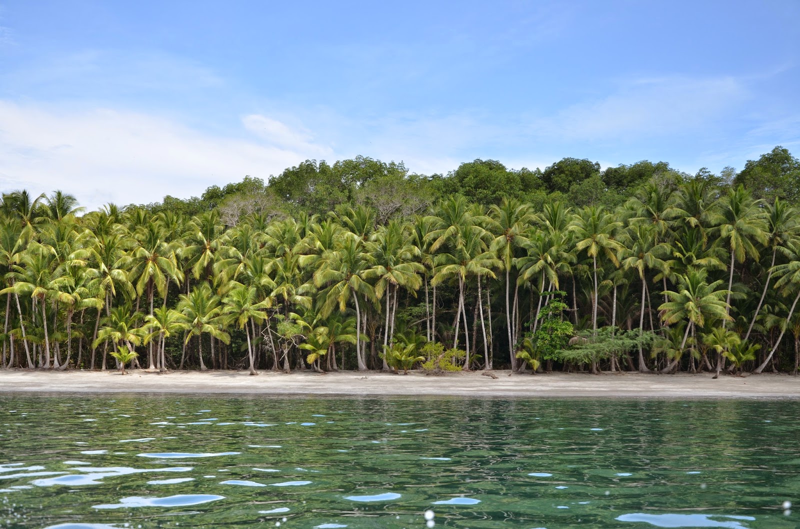 Bonjour Brigitte!: Panama Day ???: Boca Chica & Isla Parida