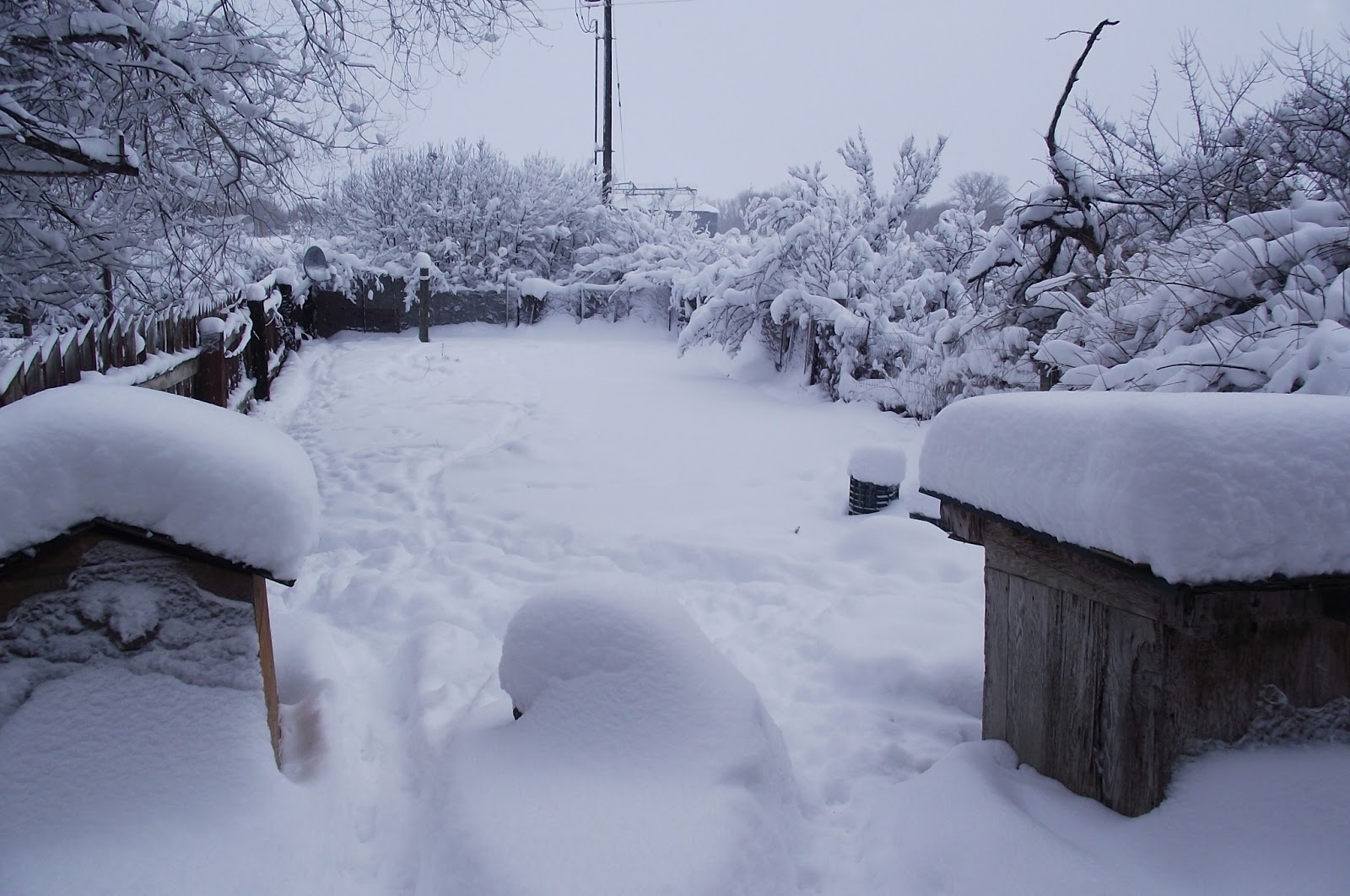 Stitchin' & Life in a Small Town: Major Snow Storm
