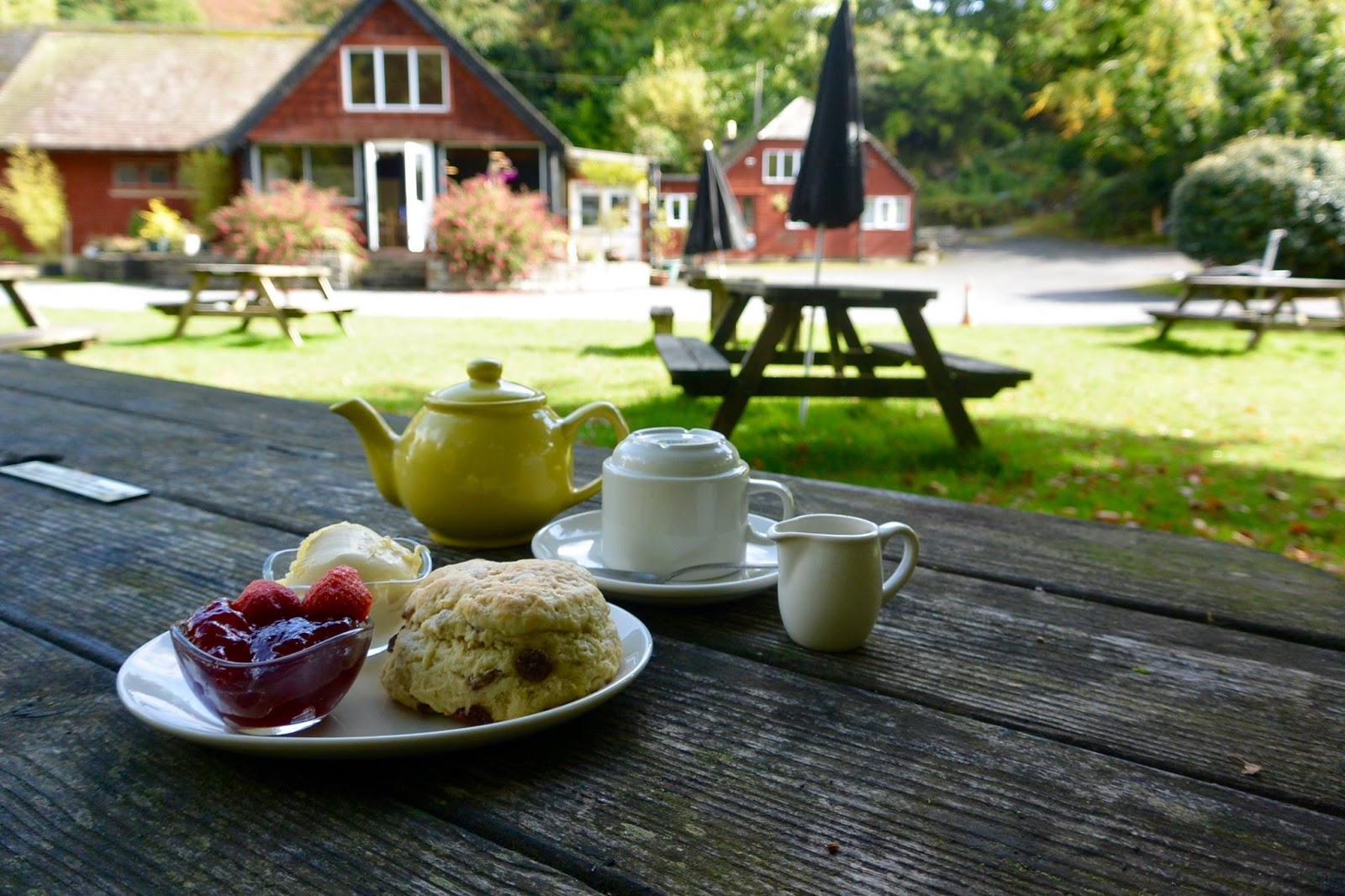 The Holiday Cottages: Badgers Holt, Dartmeet, Devon