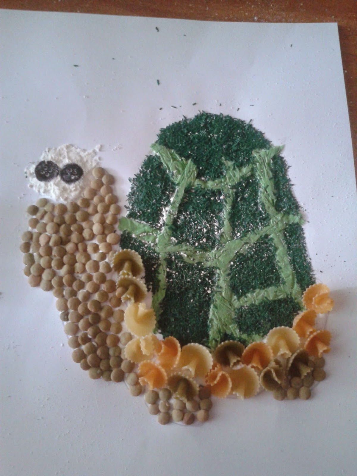 blancobouzolaura.plastica: Tortuga con diferentes texturas.