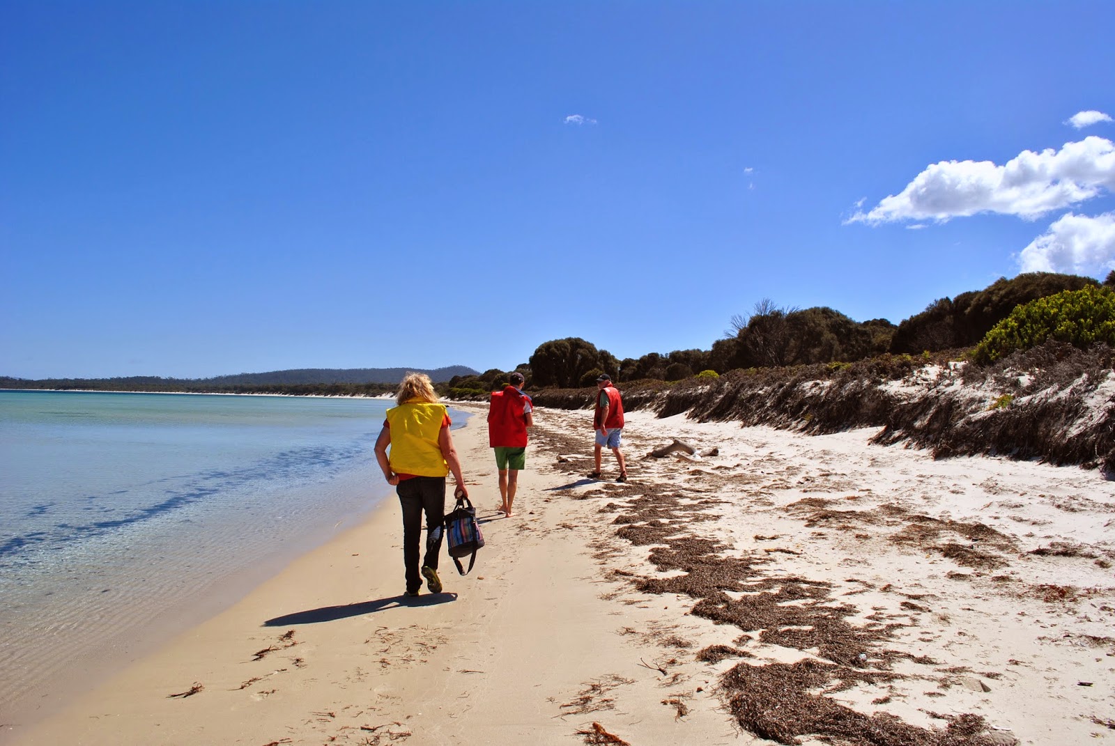 Systrarna Bergman i NZ