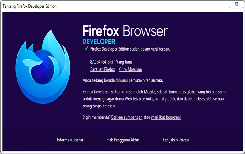 MOZILLA FIREFOX DEVELOPER EDITION 87