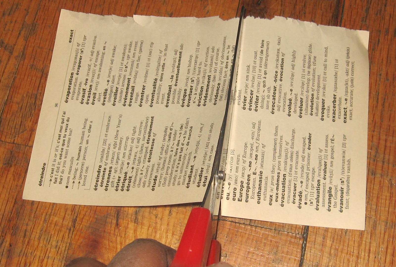 Crafts, Names, And Things!: DIY Mini Book Pages Notebooks/ Mini Books ...