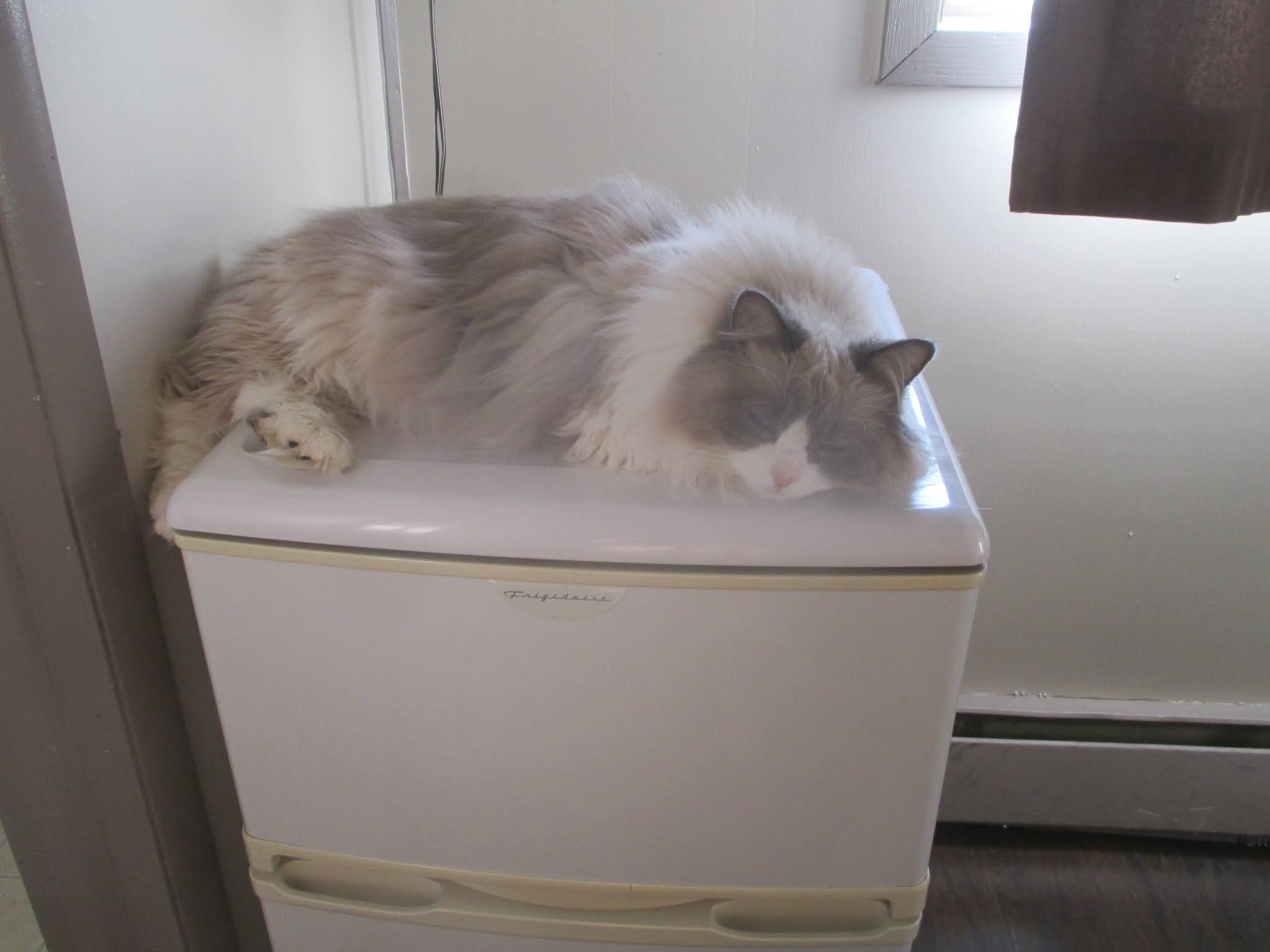 The Cookieless Mouse