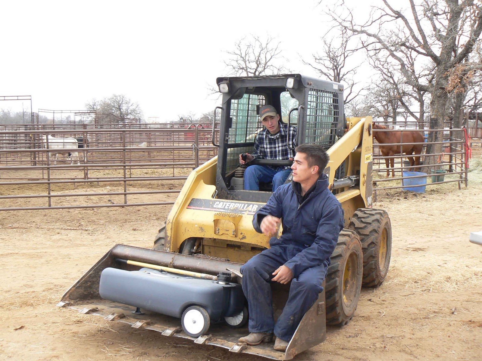 Cody Across America: Adventures at the Lee's Ranch