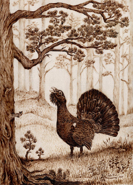 Tegnekroken: Tiur i furuskog (Pyrografi)