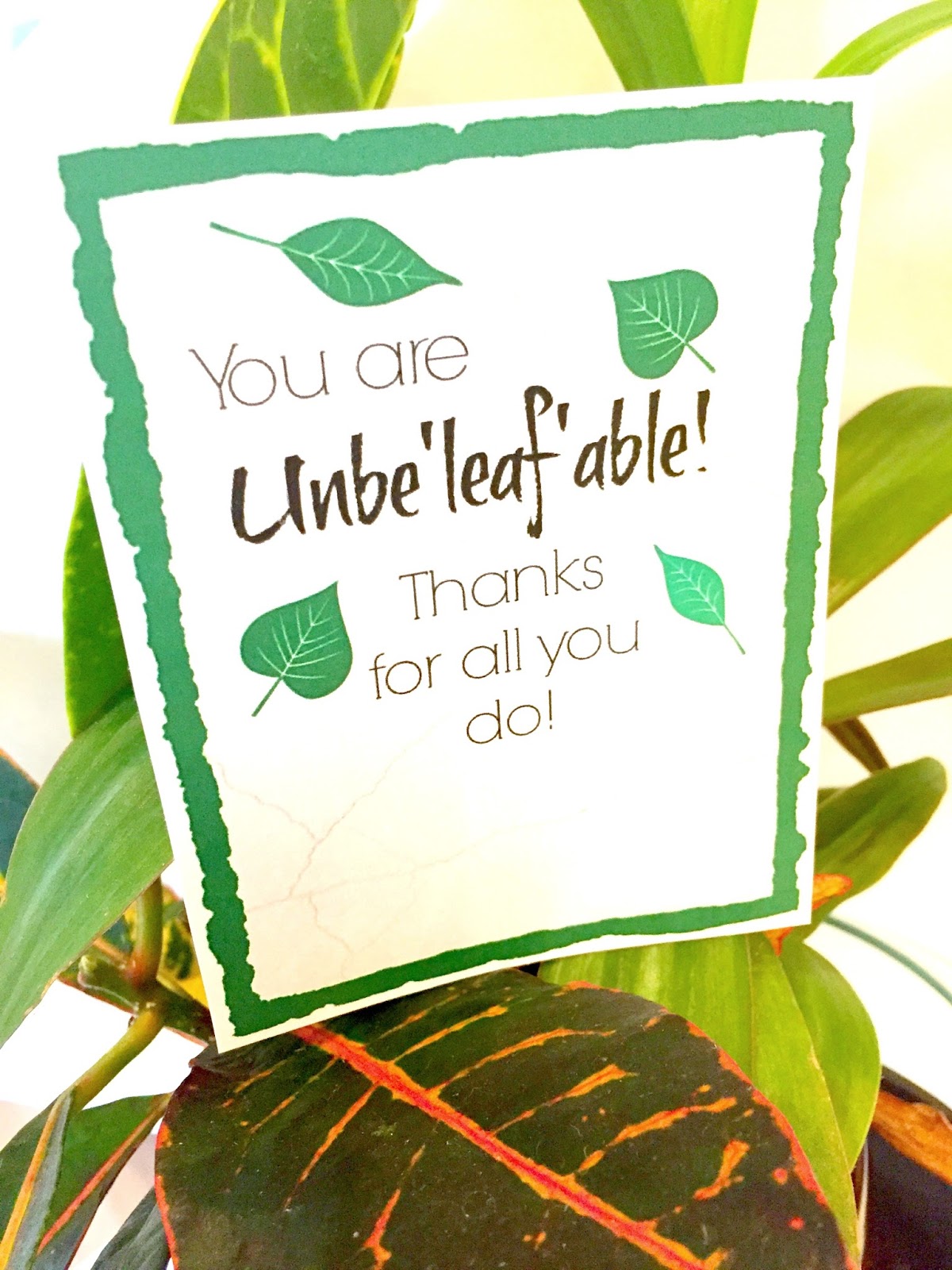 michelle paige blogs: Thankful Leaf Gifts