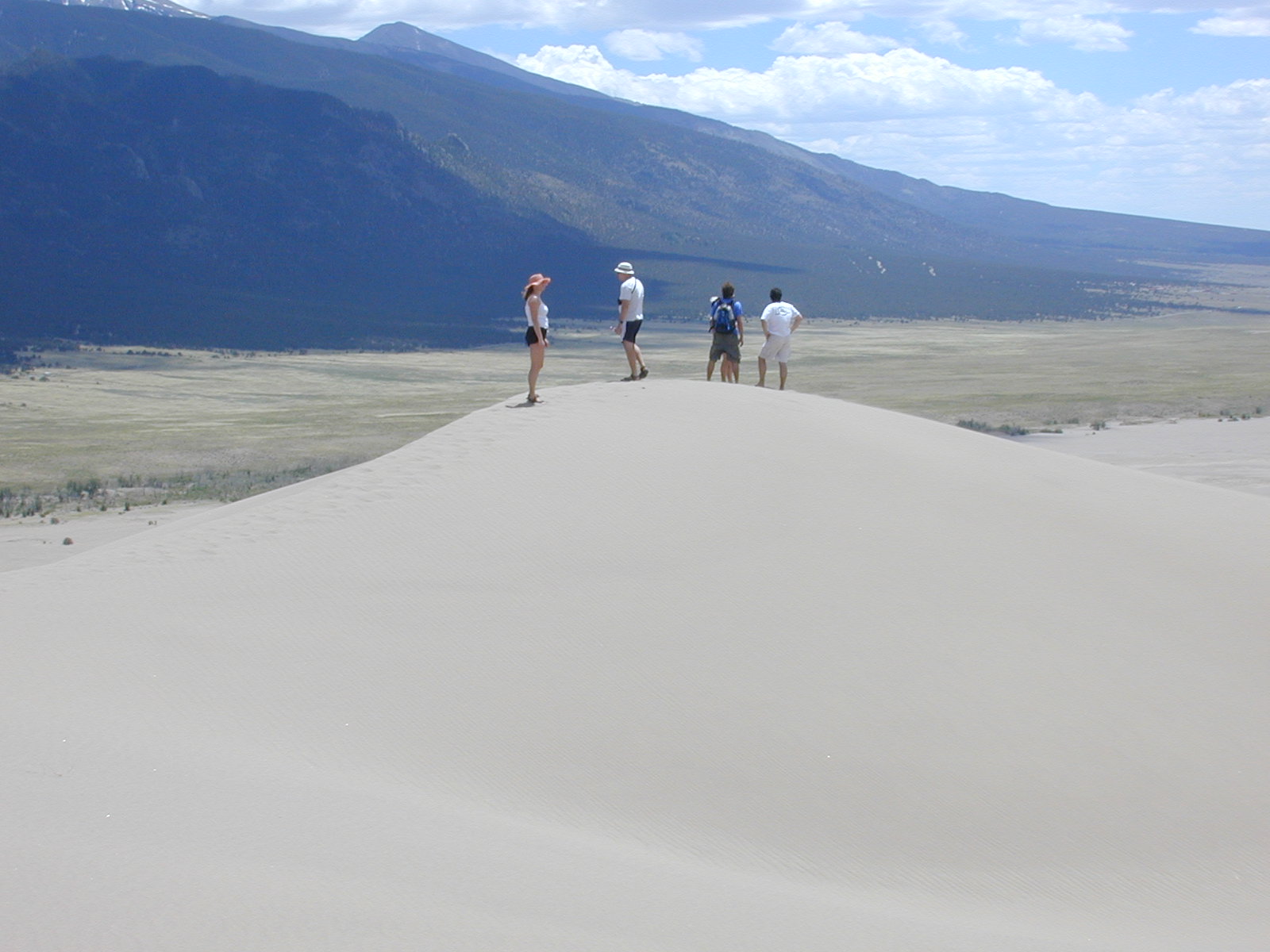 Eliana's Elephants: How to make a sand dunes project
